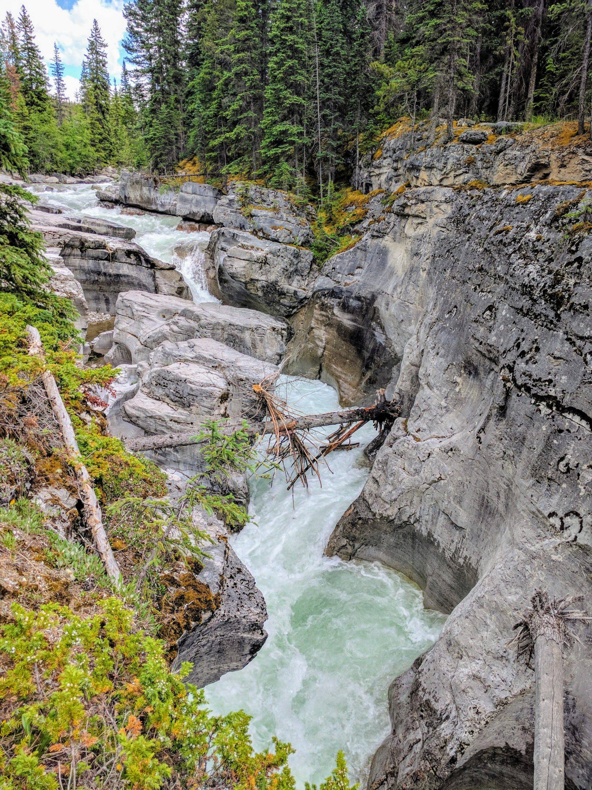 Maligne Canyon With Kids. Discovering Jasper National Park - Grazy Goat