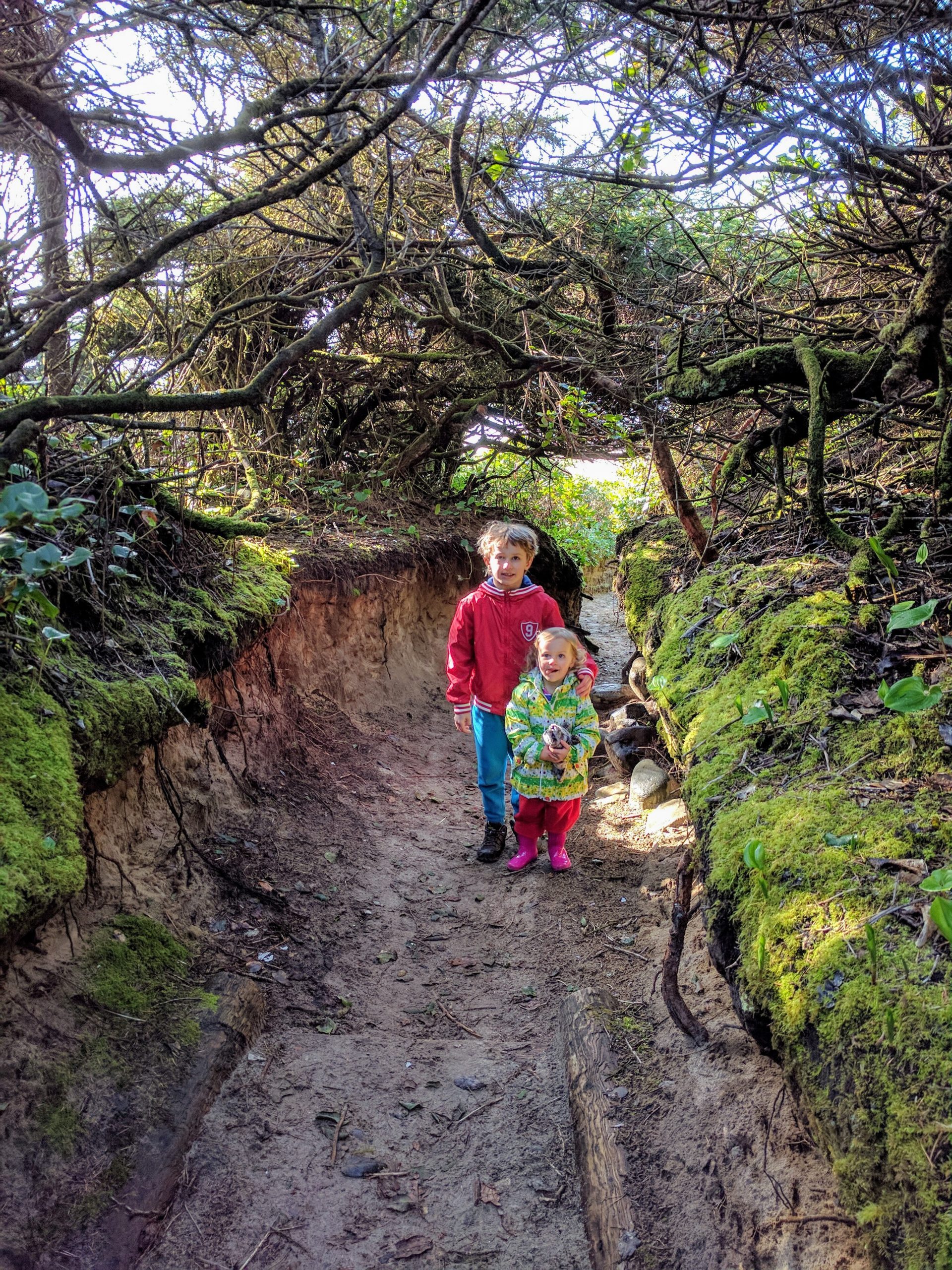 Oregon Coast Road Trip Guide. 18 Exciting Places to Visit - Grazy Goat