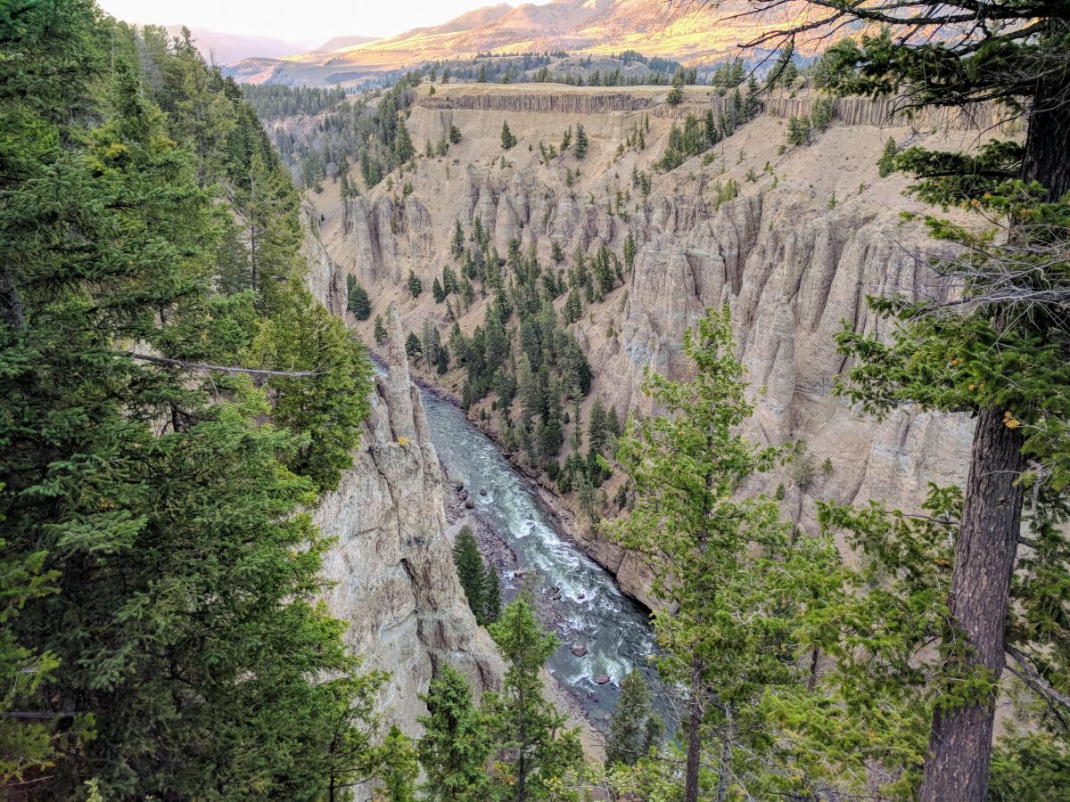 Best And Worst Of Yellowstone National Park - Grazy Goat