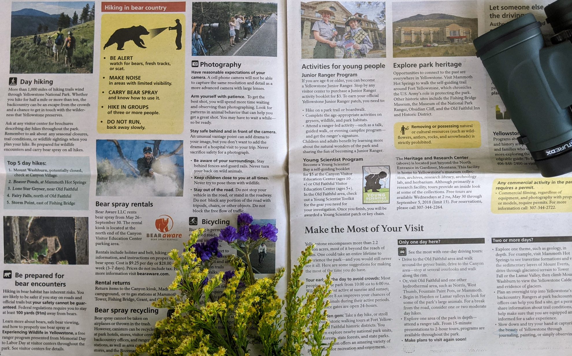 Yellowstone Tips With Kids. 11 Things We Learned After We Reached It ...