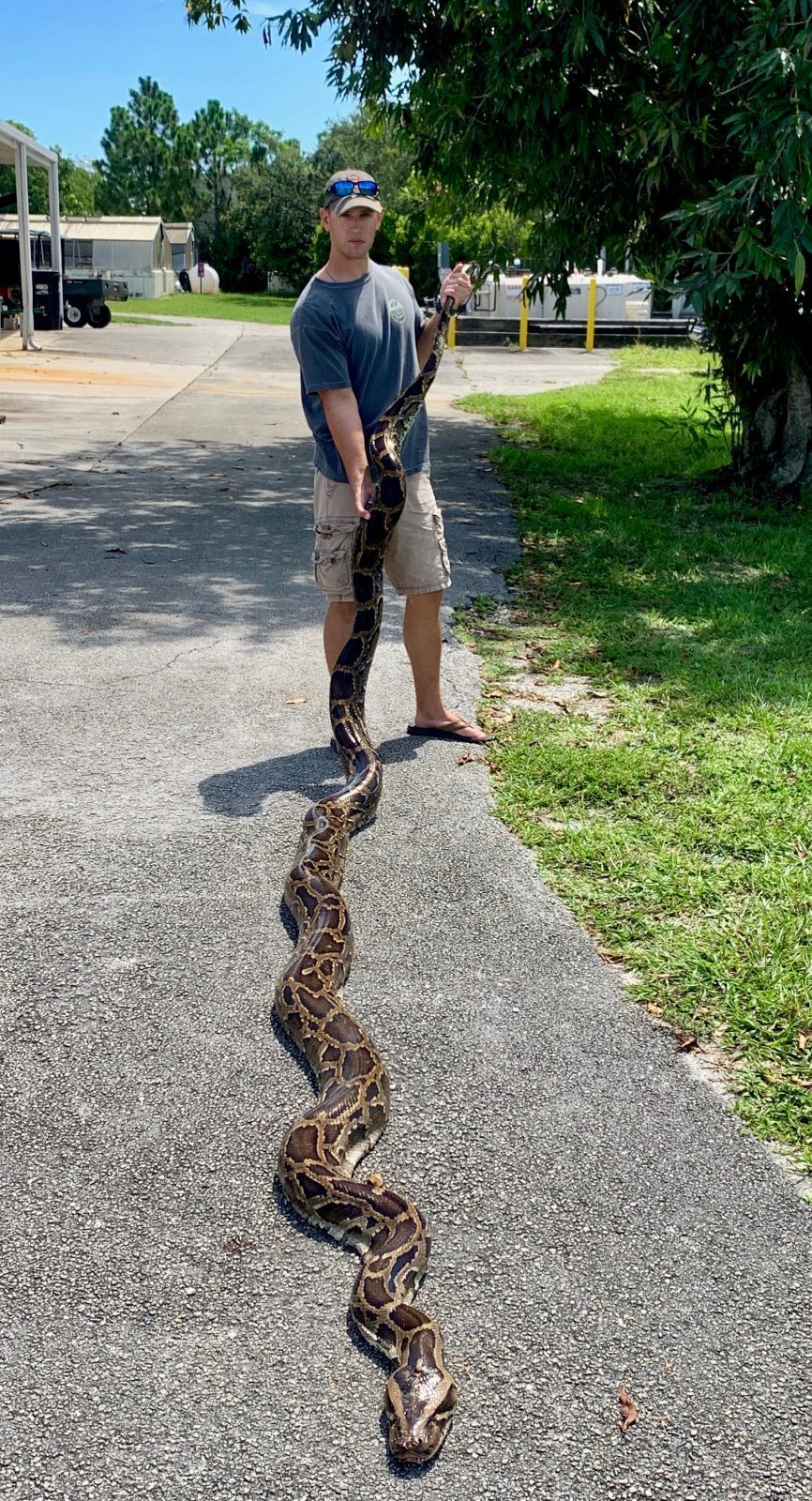 Everglades Unique Florida Destination - Grazy Goat