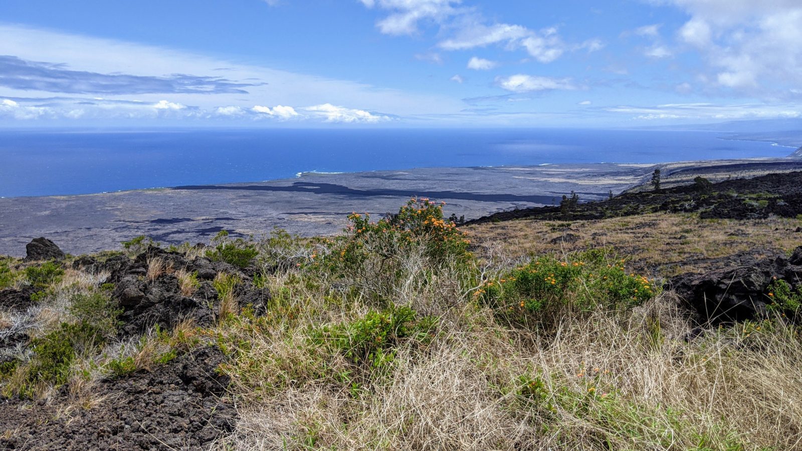 Hawaiian Volcanoes: Big Island of Hawaii, Maui - Grazy Goat
