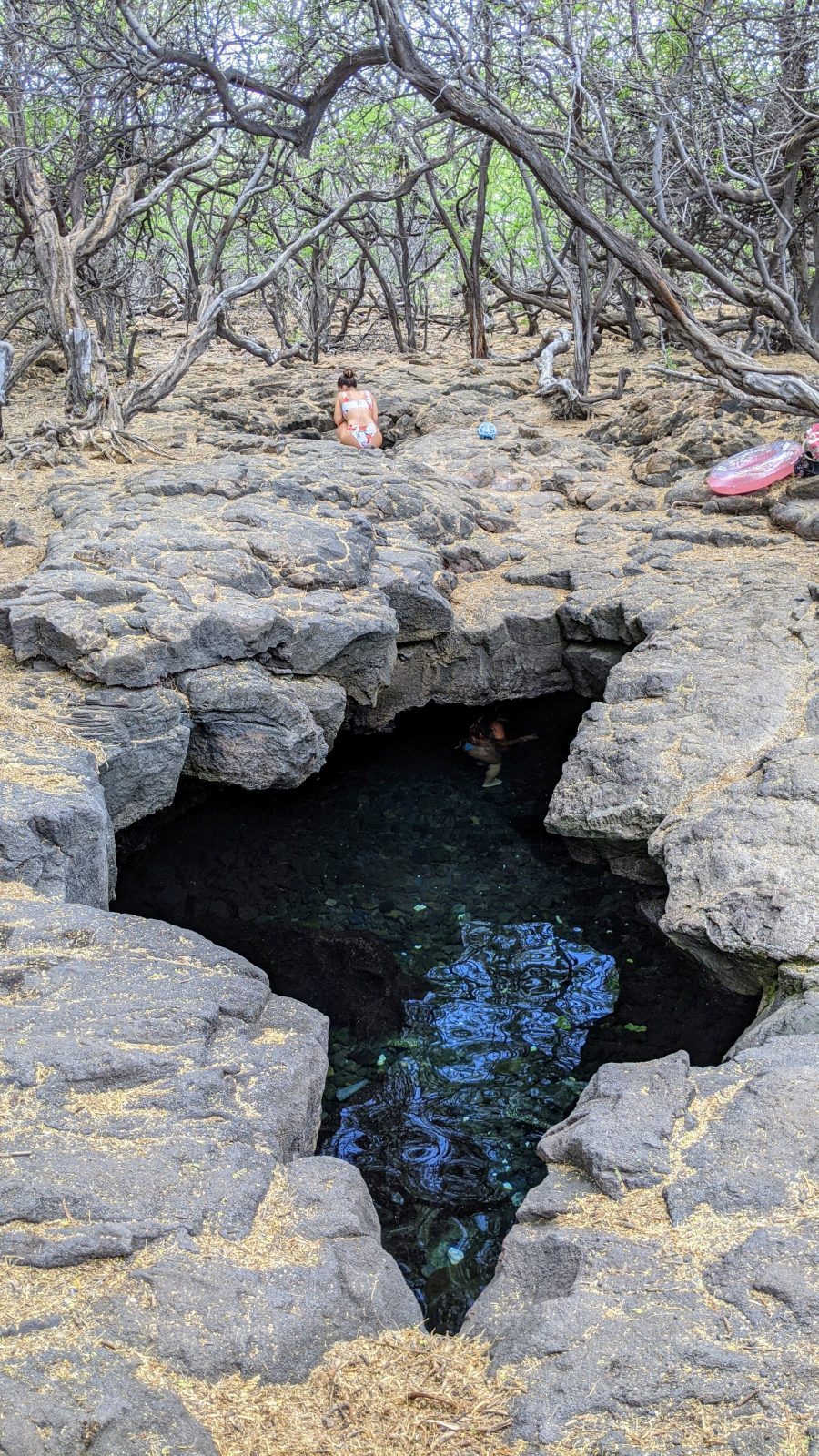 Hawaiian Volcanoes: Big Island of Hawaii, Maui - Grazy Goat