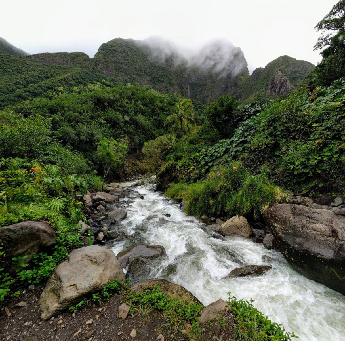 Maui Hawaii: 7+ Fascinating Places We Visited With Kids - Grazy Goat