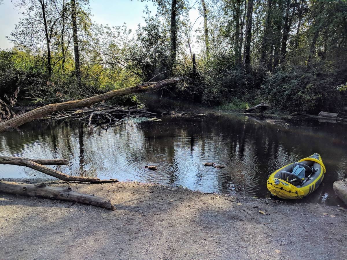 Things To Do In Seattle And Washington: Explore The Water - Grazy Goat