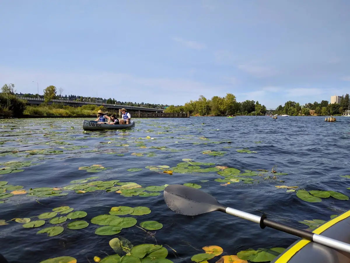 Things To Do In Seattle And Washington: Explore The Water - Grazy Goat
