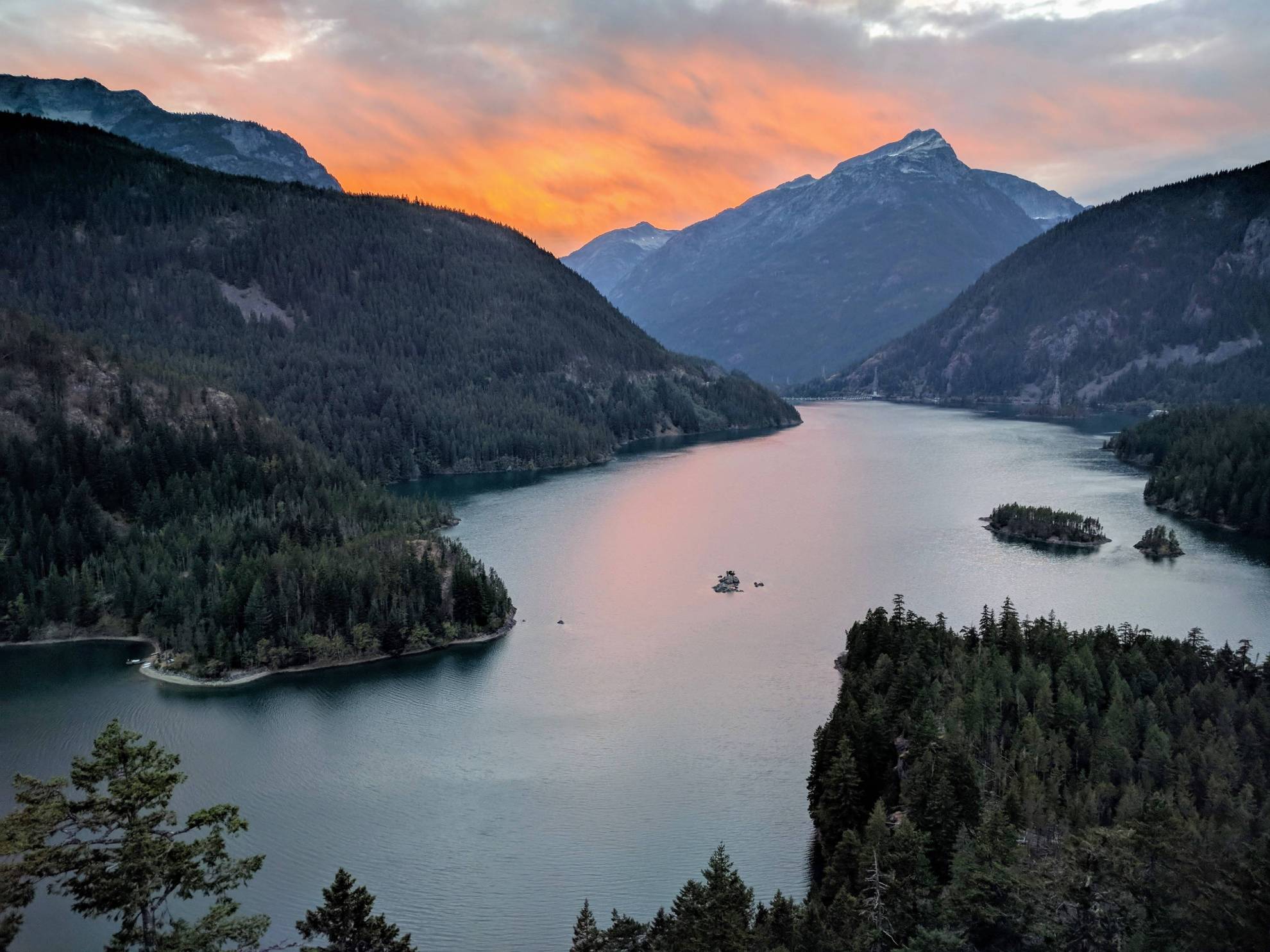 Washington Nature: 13 Examples Of Bizarre And Beautiful - Grazy Goat