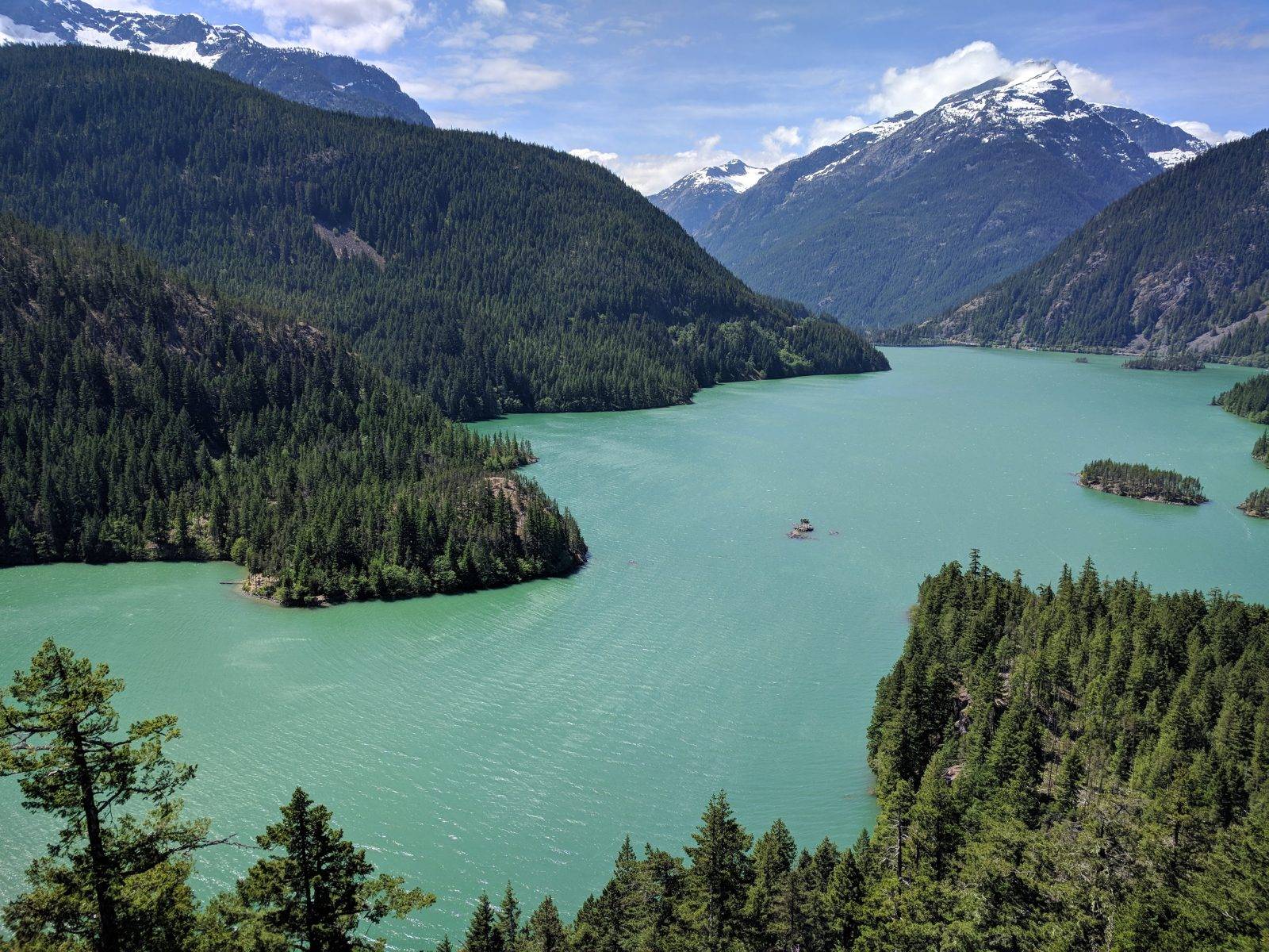 Washington Nature: 13 Examples Of Bizarre And Beautiful - Grazy Goat