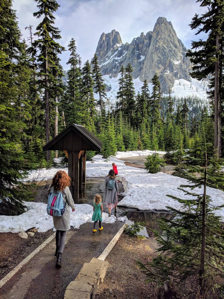 Washington Nature: 13 Examples Of Bizarre And Beautiful - Grazy Goat