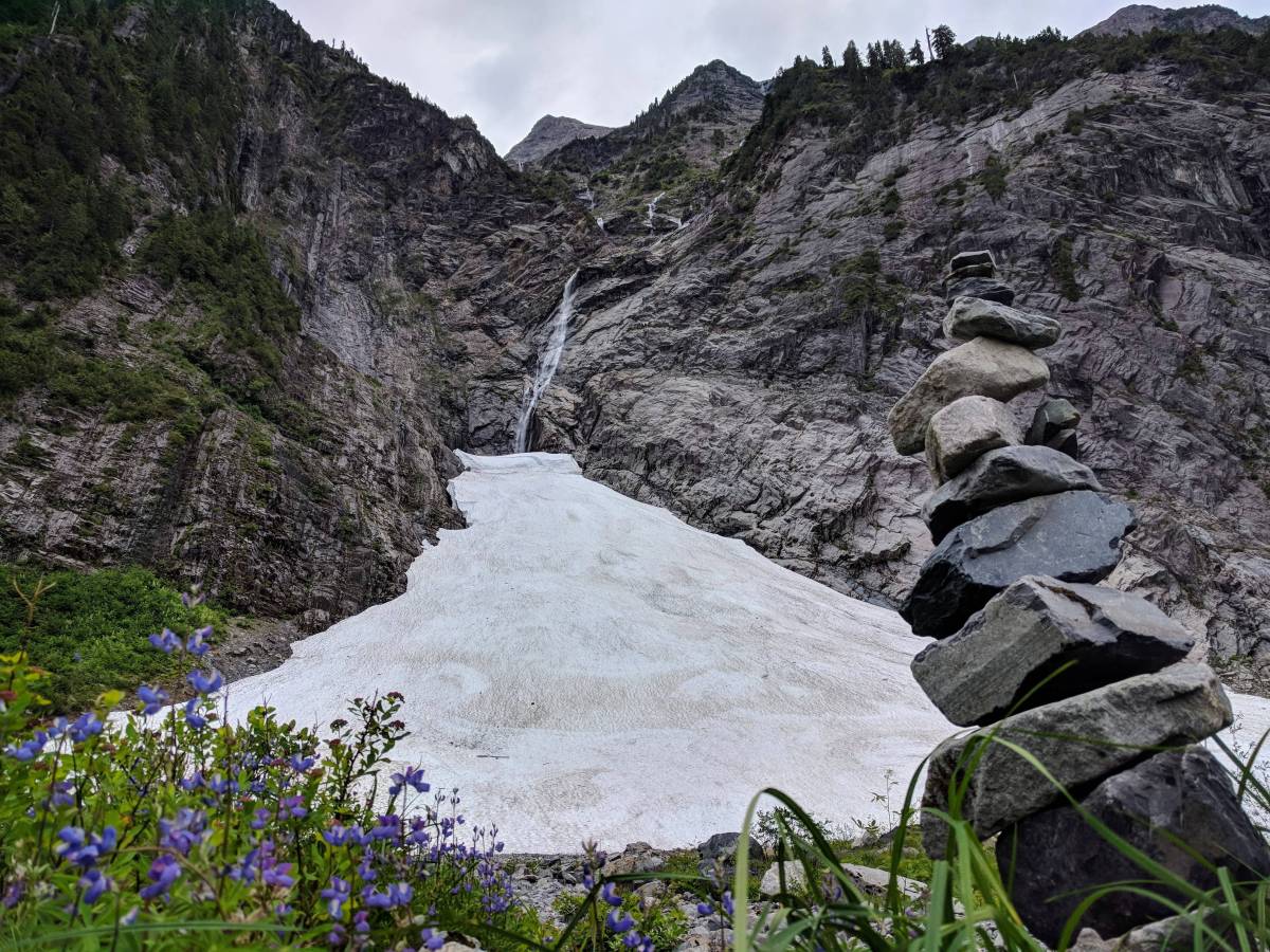 Washington Nature: 13 Examples Of Bizarre And Beautiful - Grazy Goat