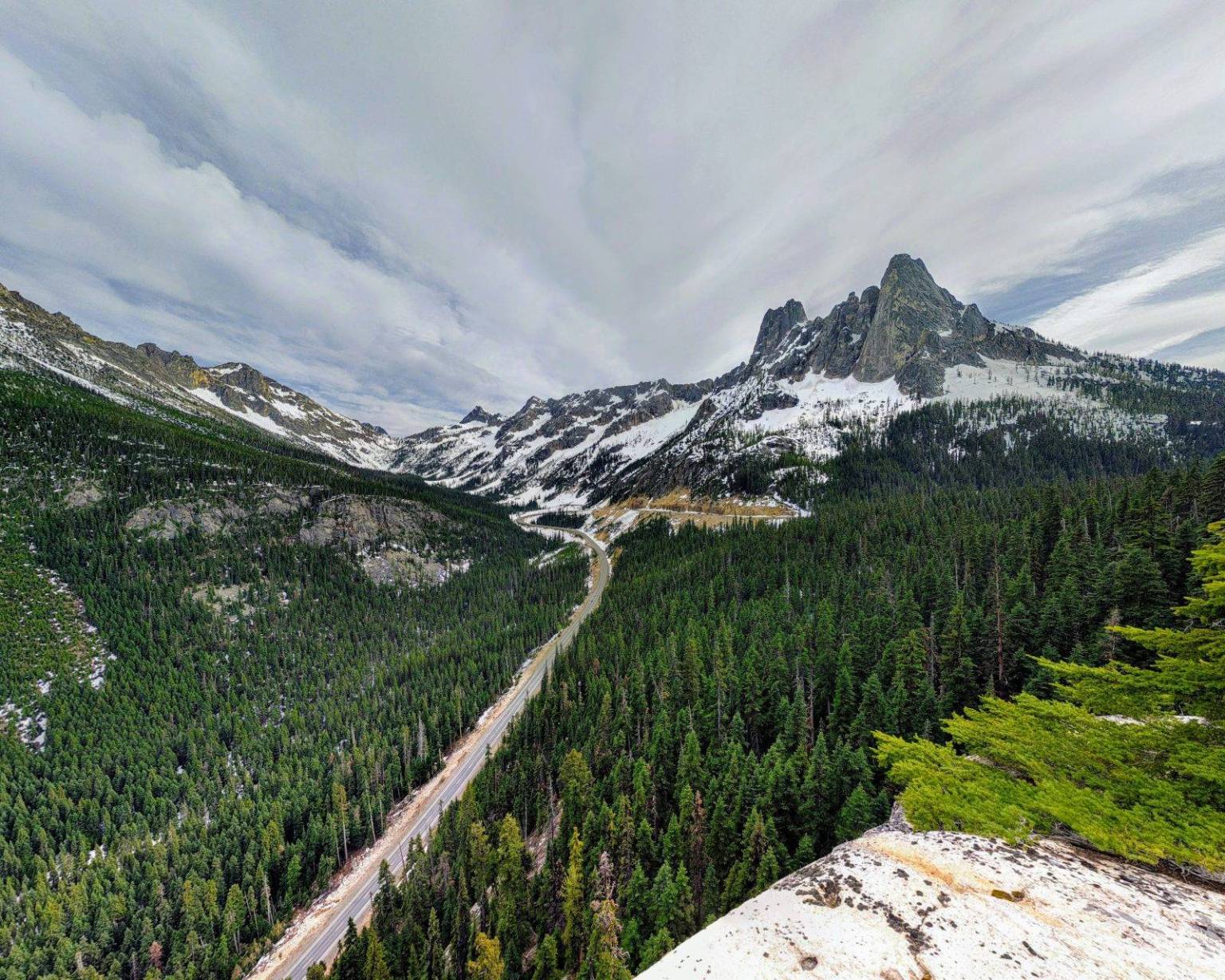 Washington Nature: 13 Examples Of Bizarre And Beautiful - Grazy Goat