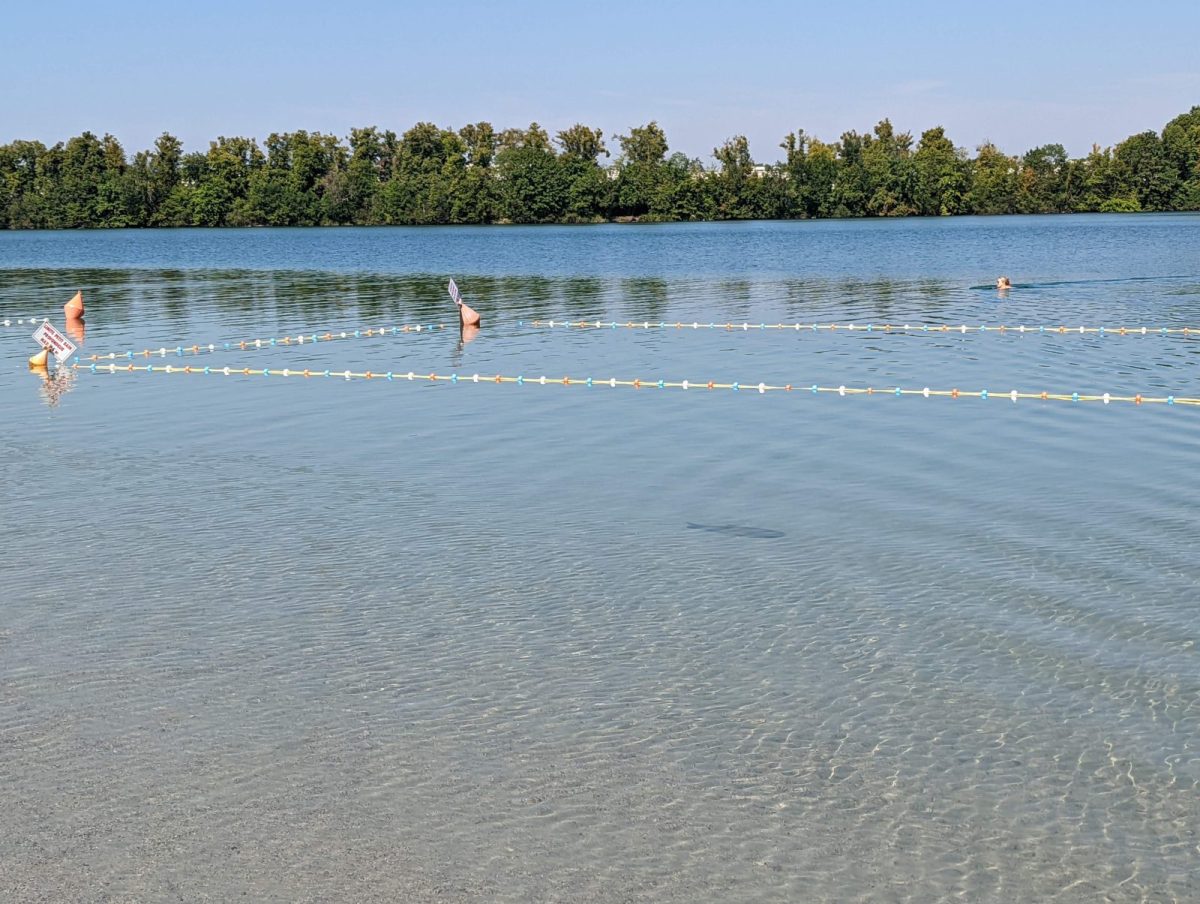 Swimming in Strasbourg: Lake Baggersee, a hidden gem in the city ...