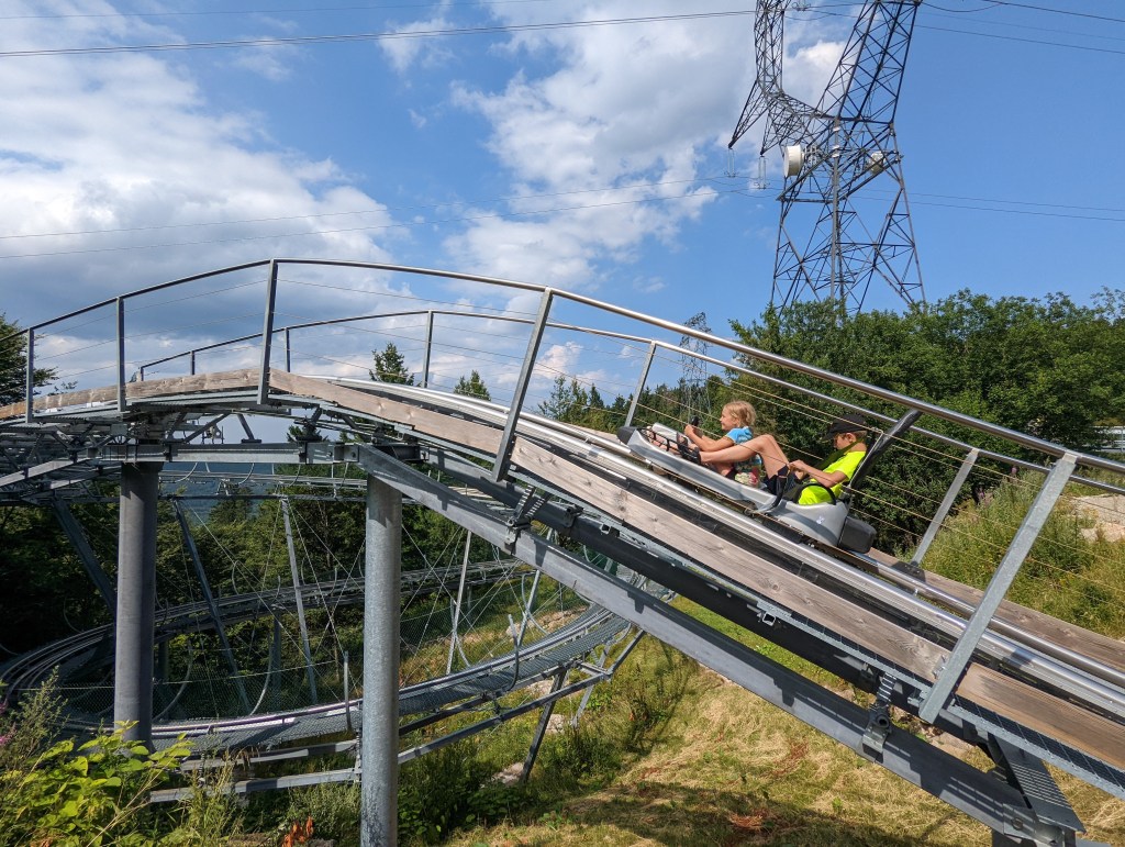 Thrills and Sensations: Alpine Coaster in Alsace - Grazy Goat