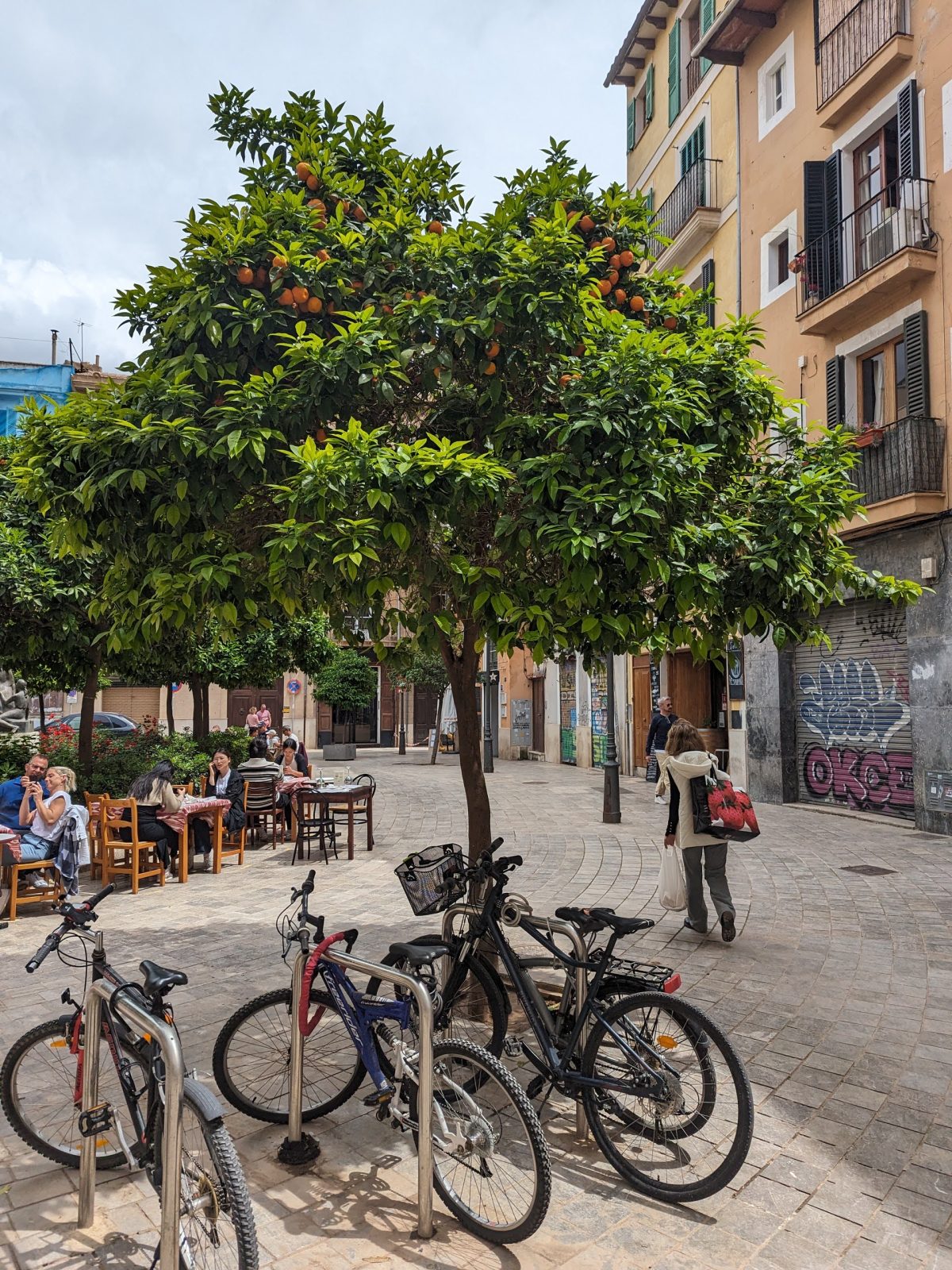 19 Fun Facts About Mallorca. What Does it Feel Like to be on the Island ...