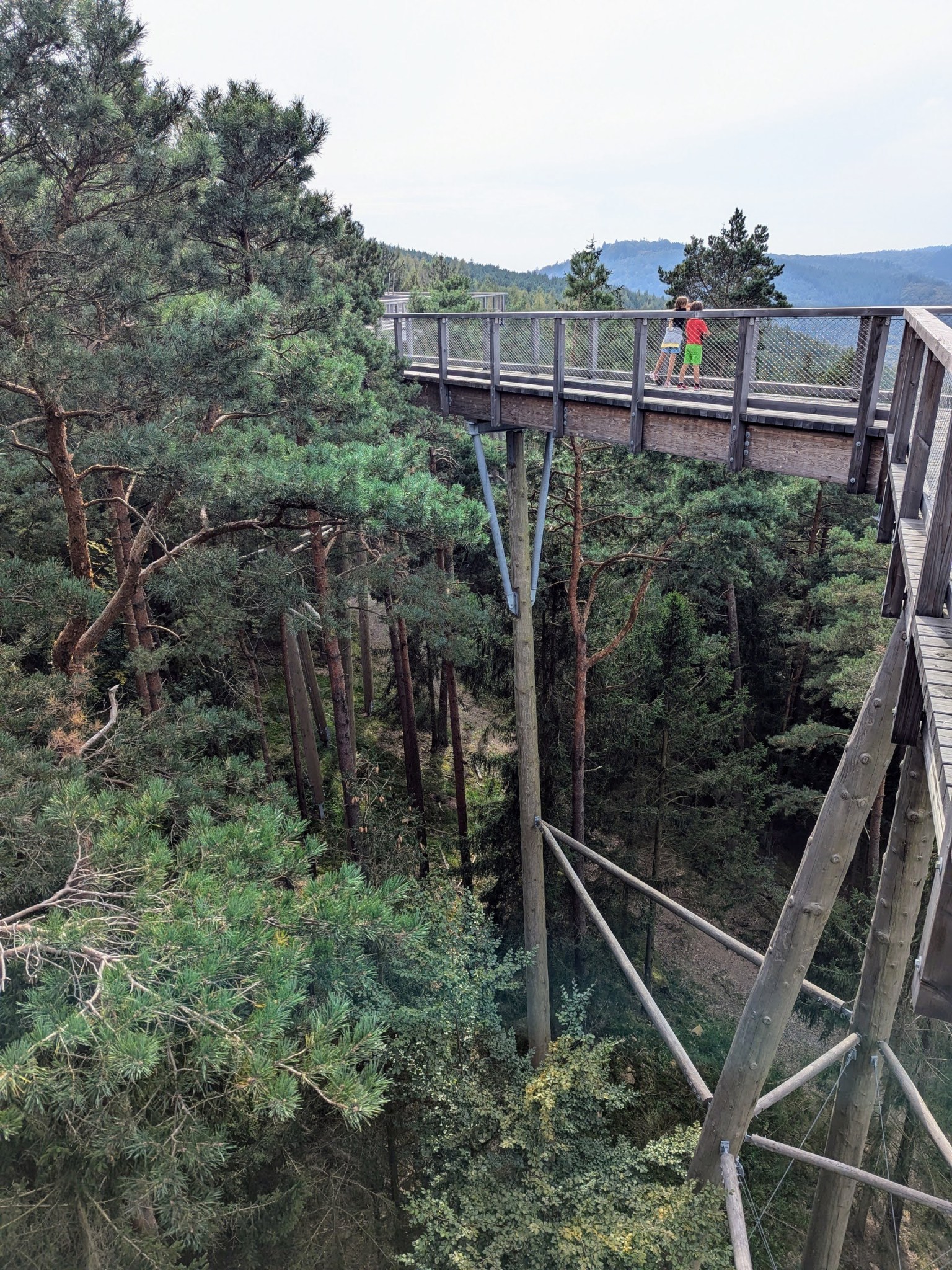 Must Visit In France: Cool Tree Top Trail and Tower in Alsace - Grazy Goat