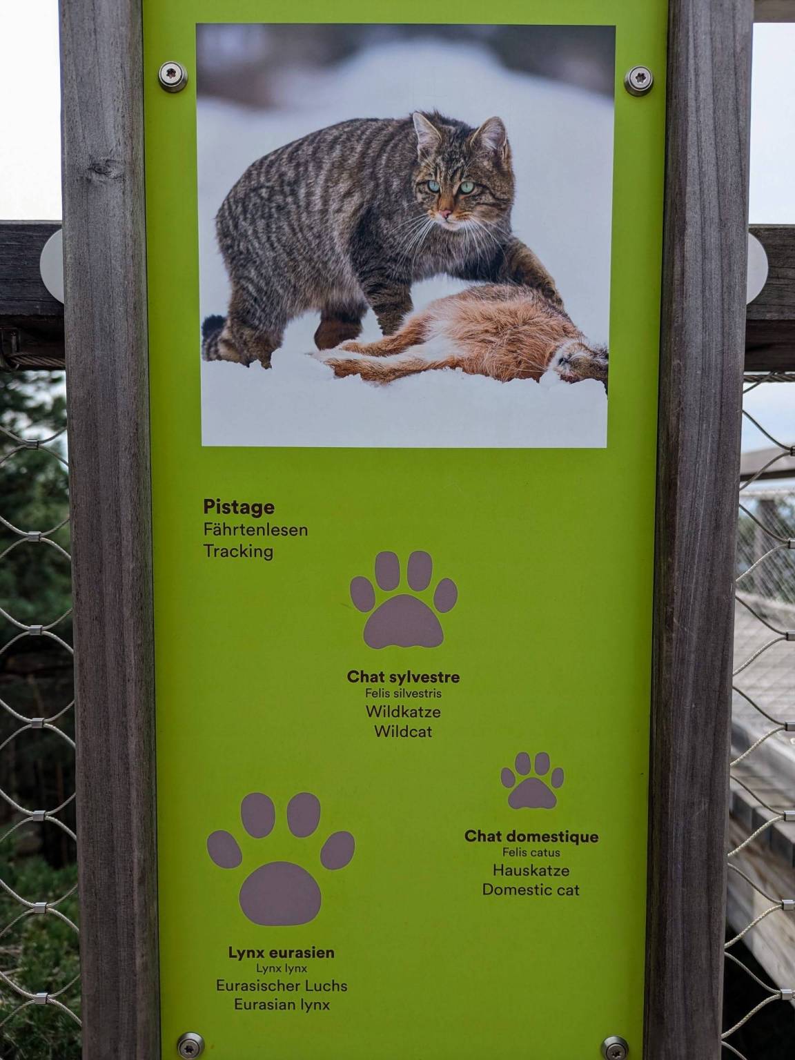 Must Visit In France: Cool Tree Top Trail and Tower in Alsace - Grazy Goat