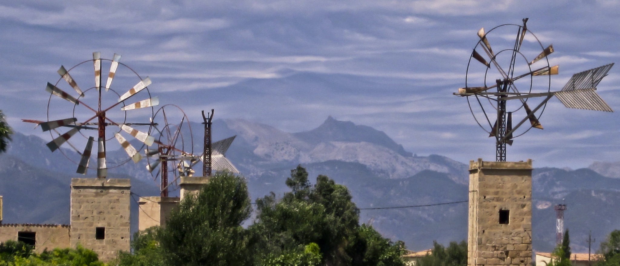 19 Fun Facts About Mallorca. What Does it Feel Like to be on the Island ...